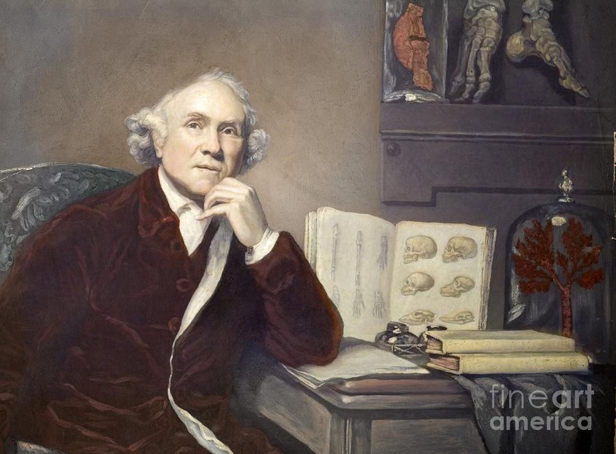 ジョンハンター（実験科学の父、科学的外科の創始者） | はせがわクリニック